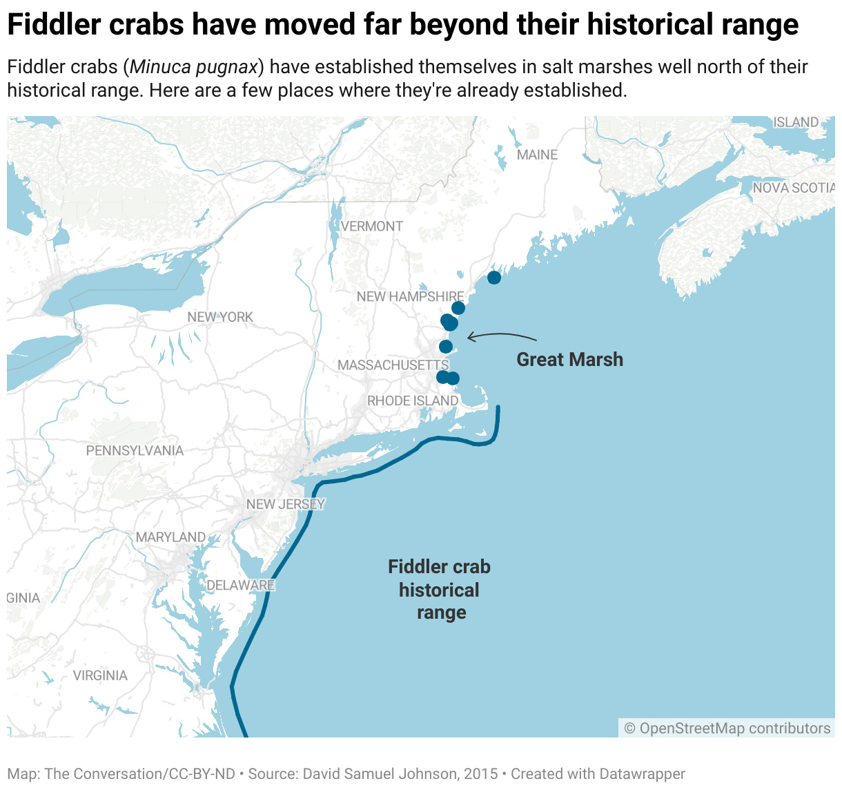 How a thumb-sized climate migrant with a giant crab claw is disrupting ...